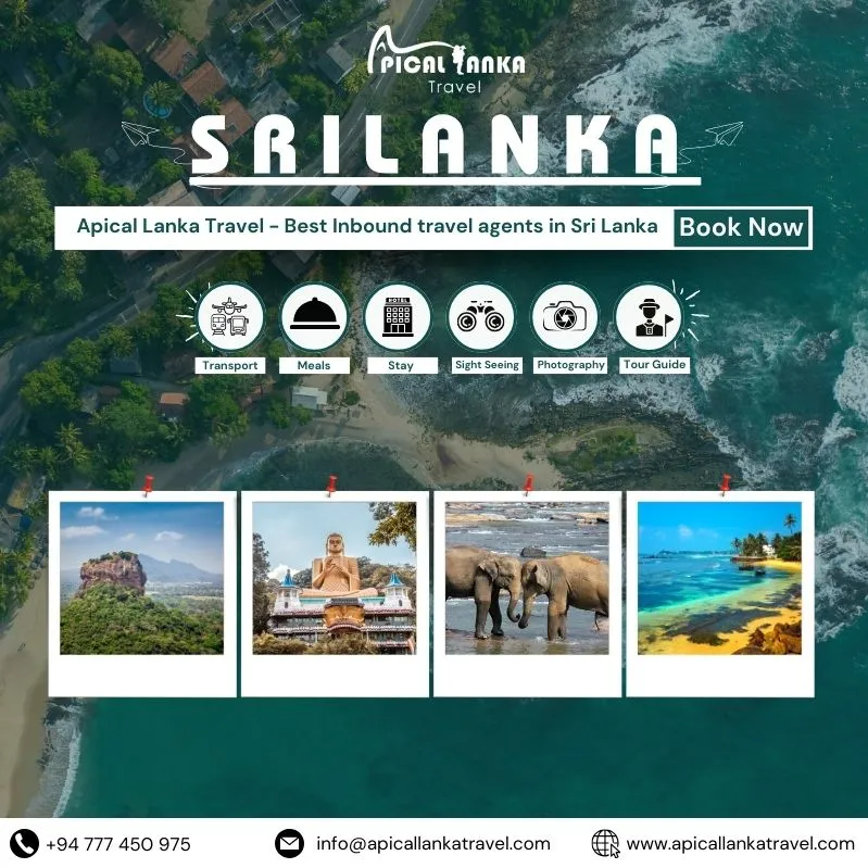 Apical Lanka Travel - Best Inbound travel agents in Sri Lanka